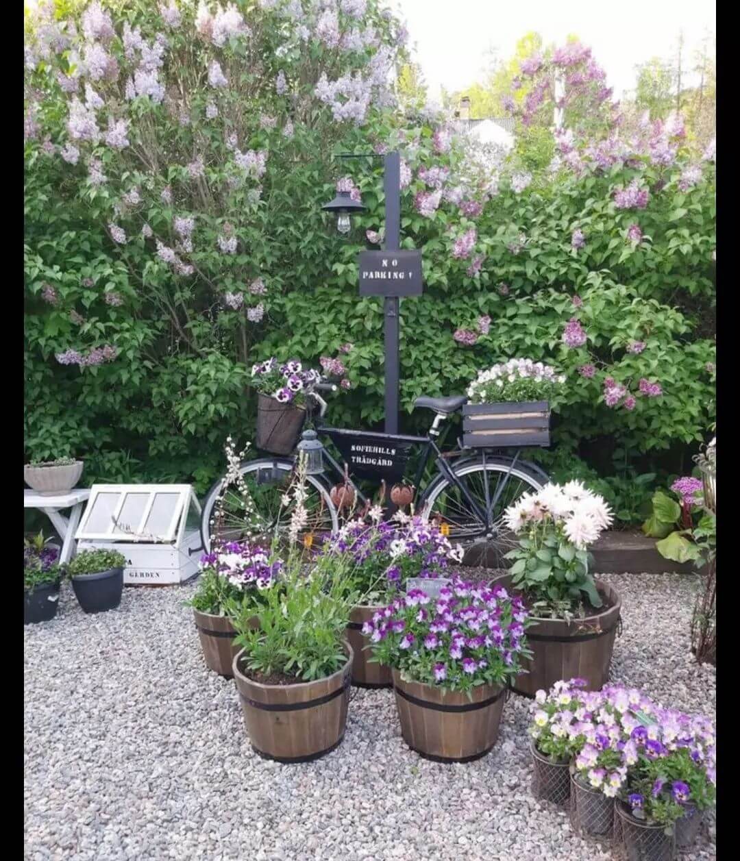 Breathtaking Cottage Garden Inspiration (23 Ideas to Elevate Your ...