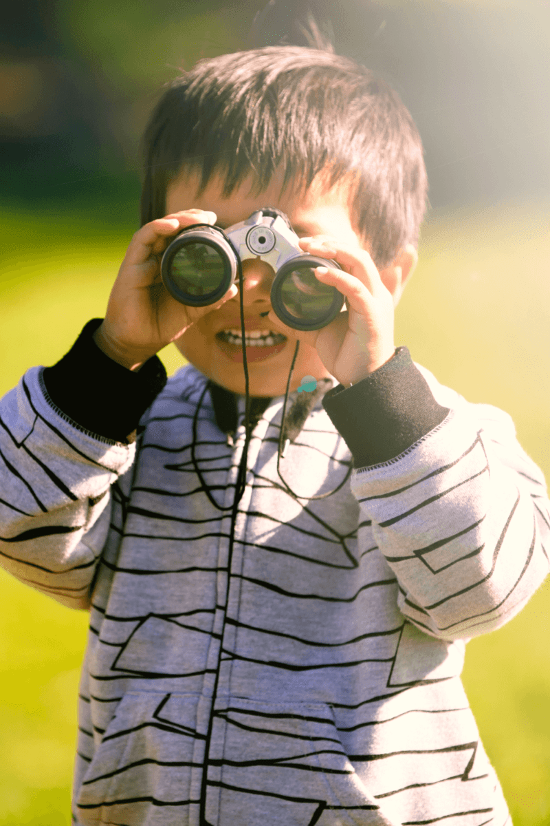 15 Brilliant Nature Toys for Toddlers to Get Them Playing Outside ...